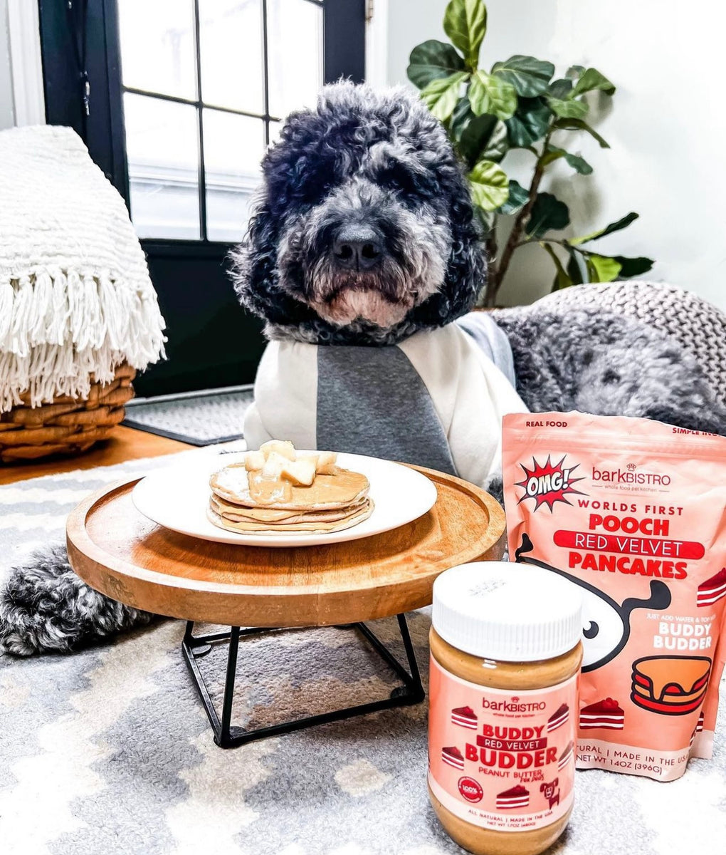 Paws and Celebrations: A Guide to Different Pet Holidays – Bark Bistro
