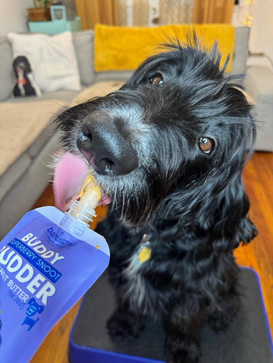 Unleash the Power of Natural Peanut Butter for Your Pup – Bark Bistro