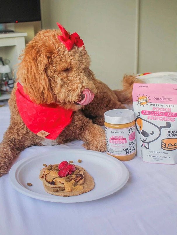 Contact – Bark Bistro